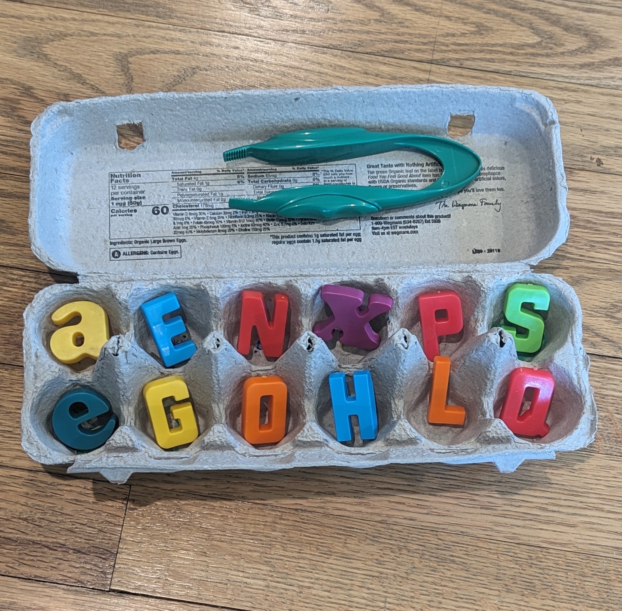 Crack Open Learning Fun: Creative Ways to Use Empty Egg Cartons ...